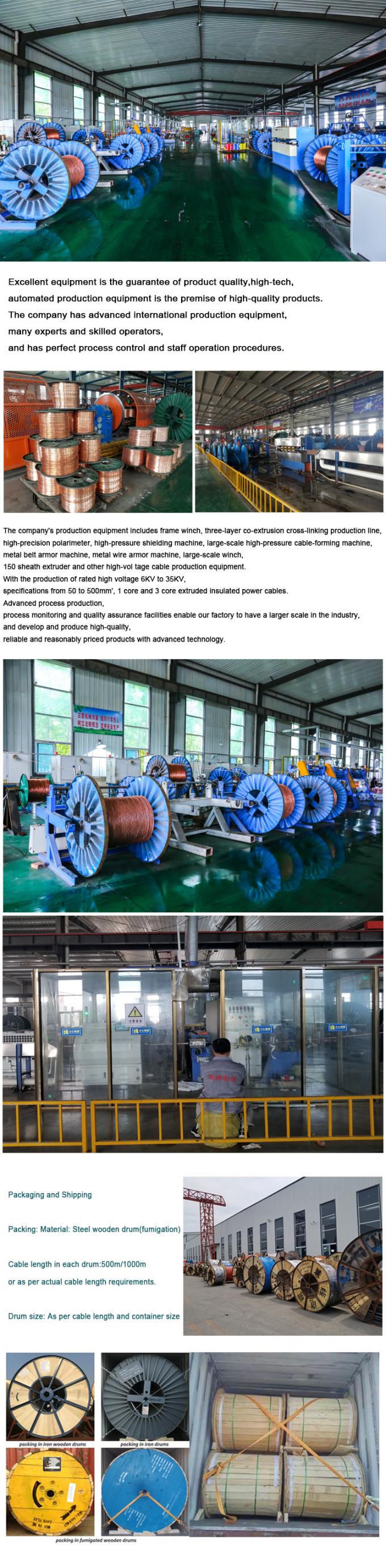 Underground Medium Voltage Armoured Power Cable With XLPE Insulation ...